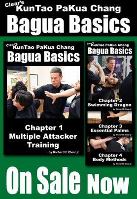 Bagua Lesson 6 – Single Palm Position & Stance