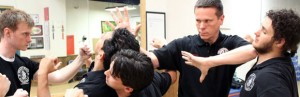 Clear’s Bagua. Learn to fight with Baguazhang.